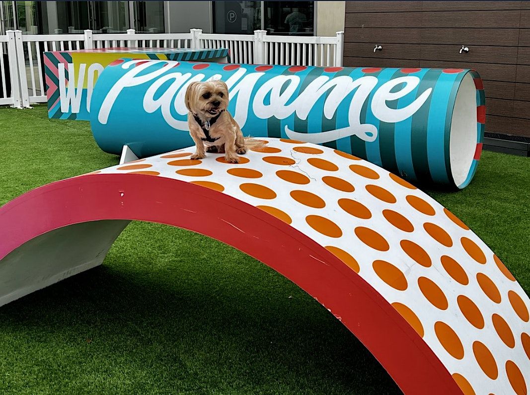 Summer Pup Parties, The SoNo Collection, Norwalk, 22 July 2023 ...