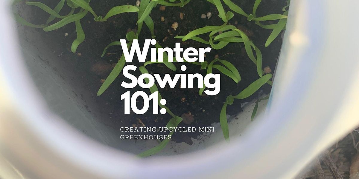 Winter Sowing 101: Creating Mini Greenhouses, December 12 2023 | Online ...