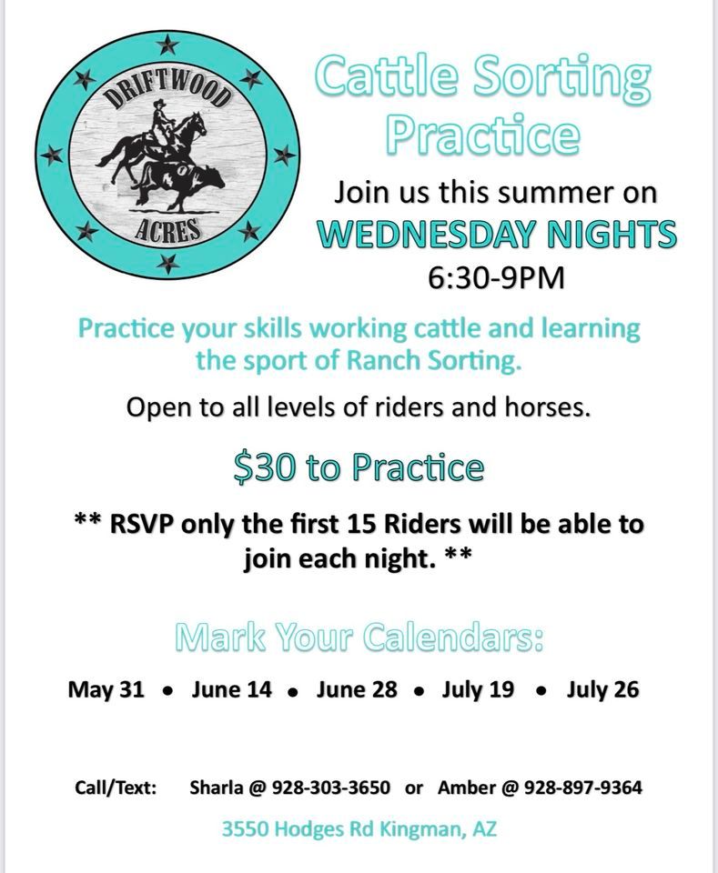 Cattle sorting, Driftwood Acres Equine Center, Kingman, 31 May 2023 ...