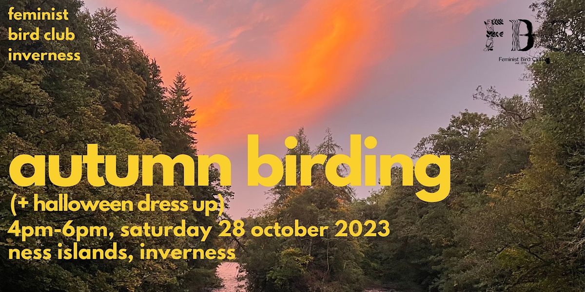 autumn birding, Ness Islands, Inverness, October 28 2023 | AllEvents.in