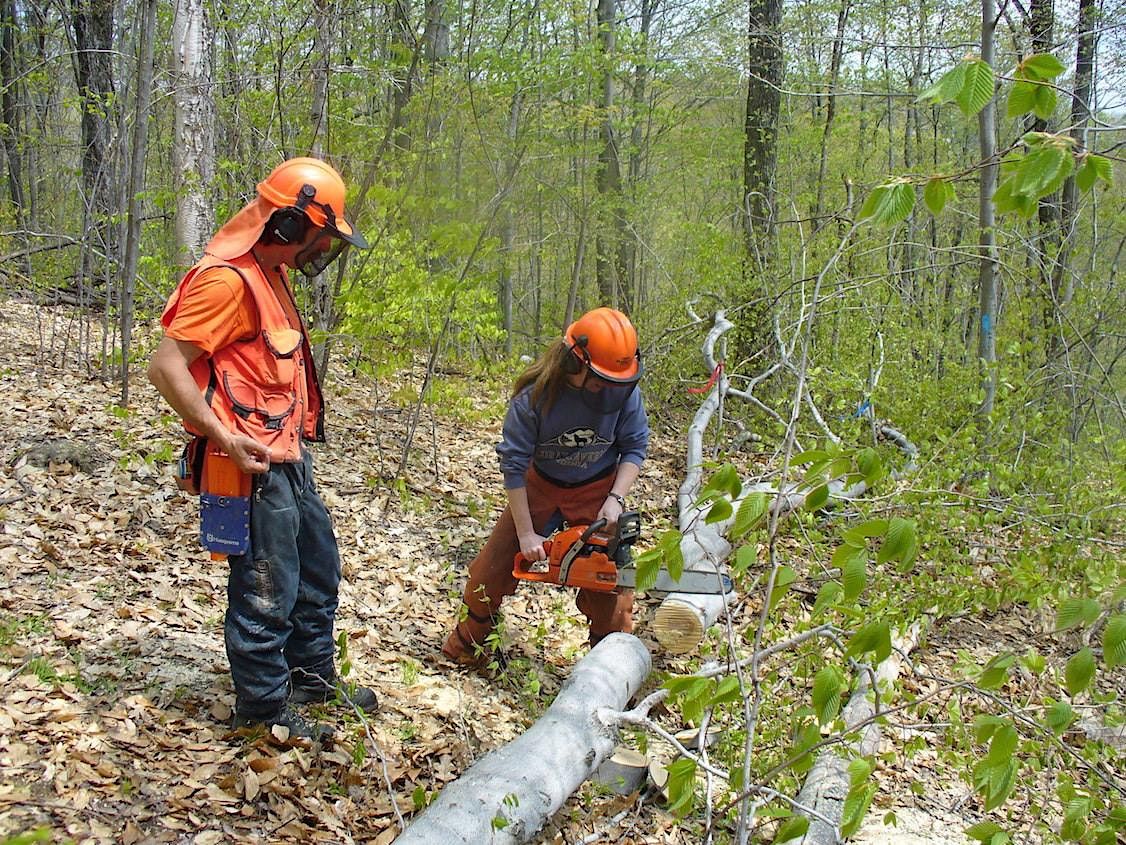 Basic Chainsaw Use & Safety for Beginners, September 28, 2023, 732 ...