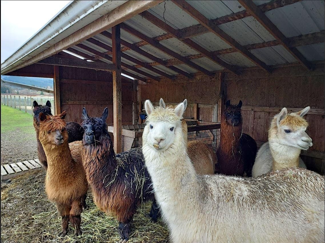 Land and Animal Stewardship at Blue Mist Farm, Enumclaw, 22 June 2024 ...