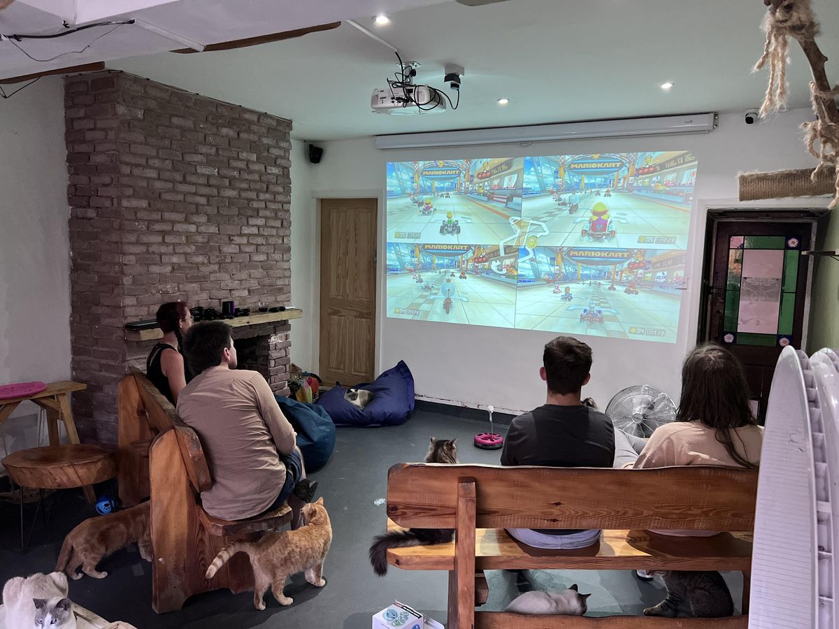 Gamers Night - Board Games and Video Games with Cats, North Wingfield ...