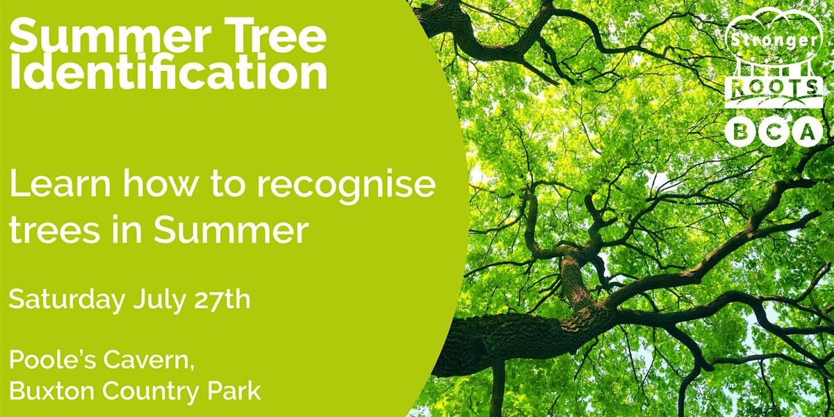 Summer Tree Identification, Poole's Cavern & Buxton Country Park, 27 ...