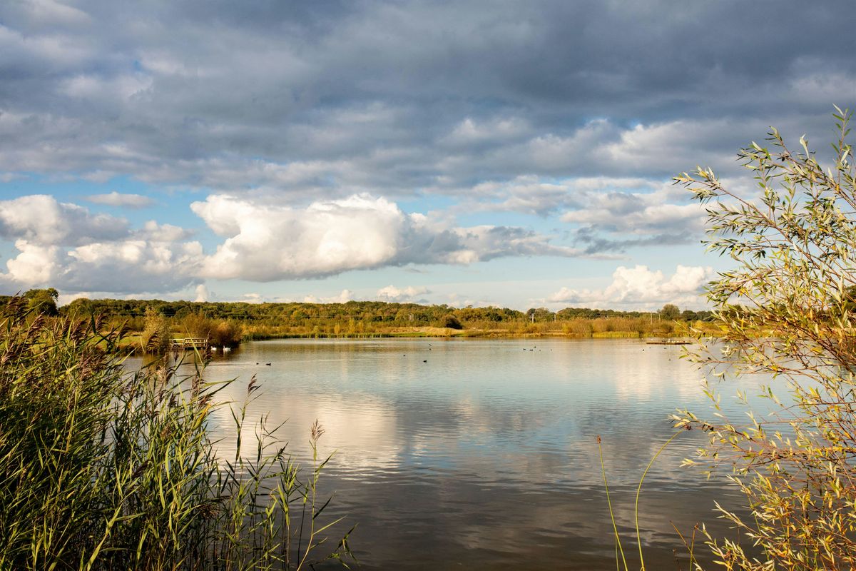 Winter bird-watching walk, Queen Elizabeth Diamond Jubilee Wood ...
