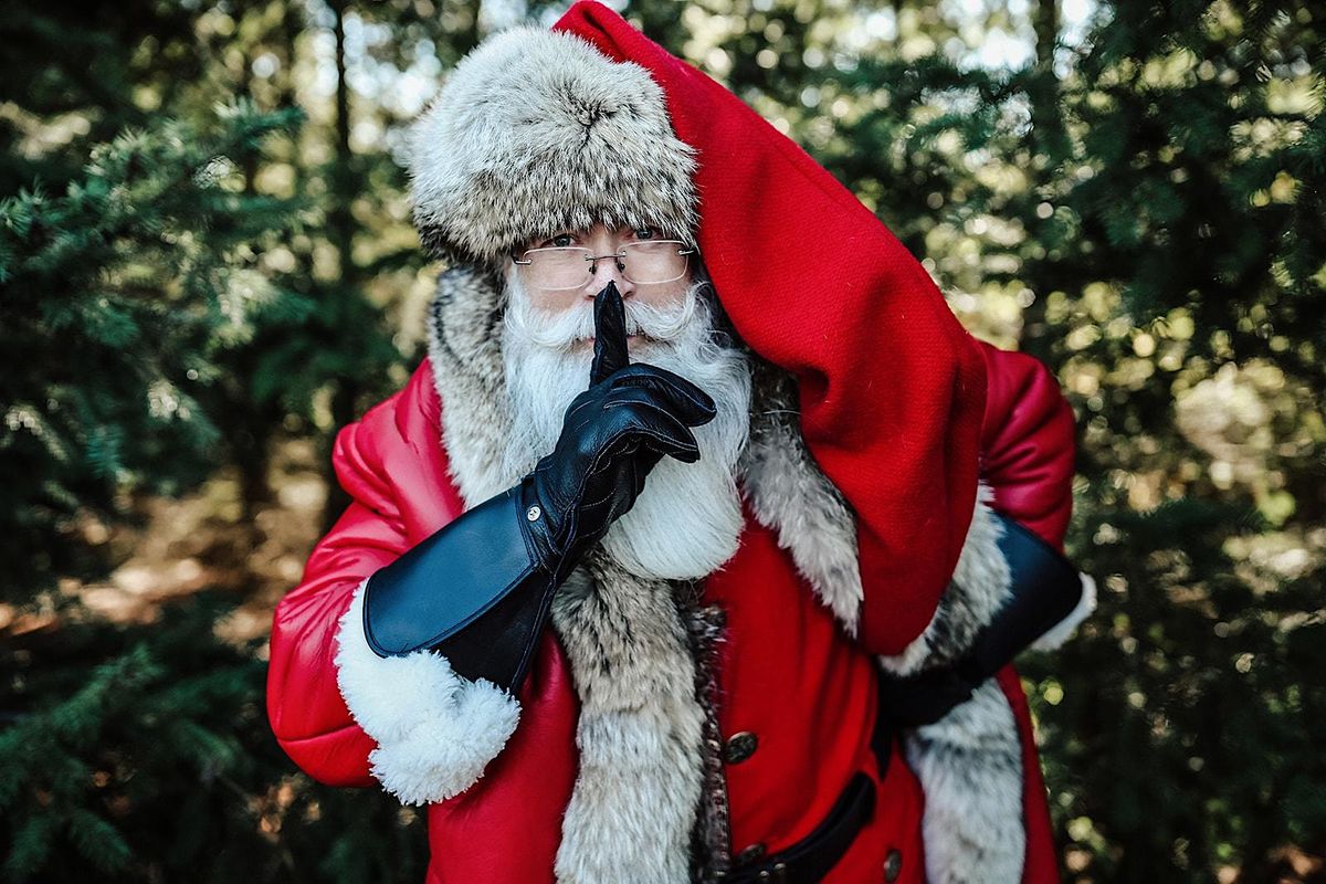 The Aesthetic Experience Santa Meet & Greet, The Aesthetic Experience ...