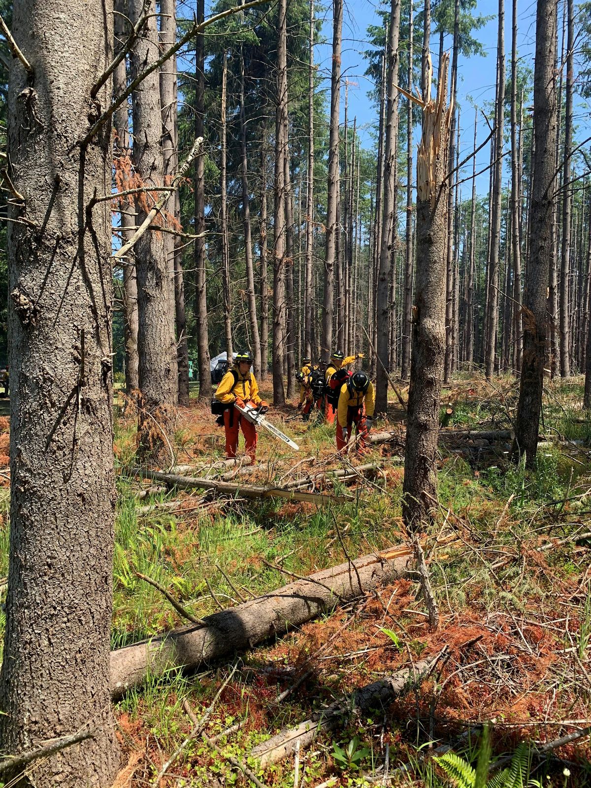 MAWS 2024 - Metro Advanced Wildland School, Molalla Fire Department, 31 ...