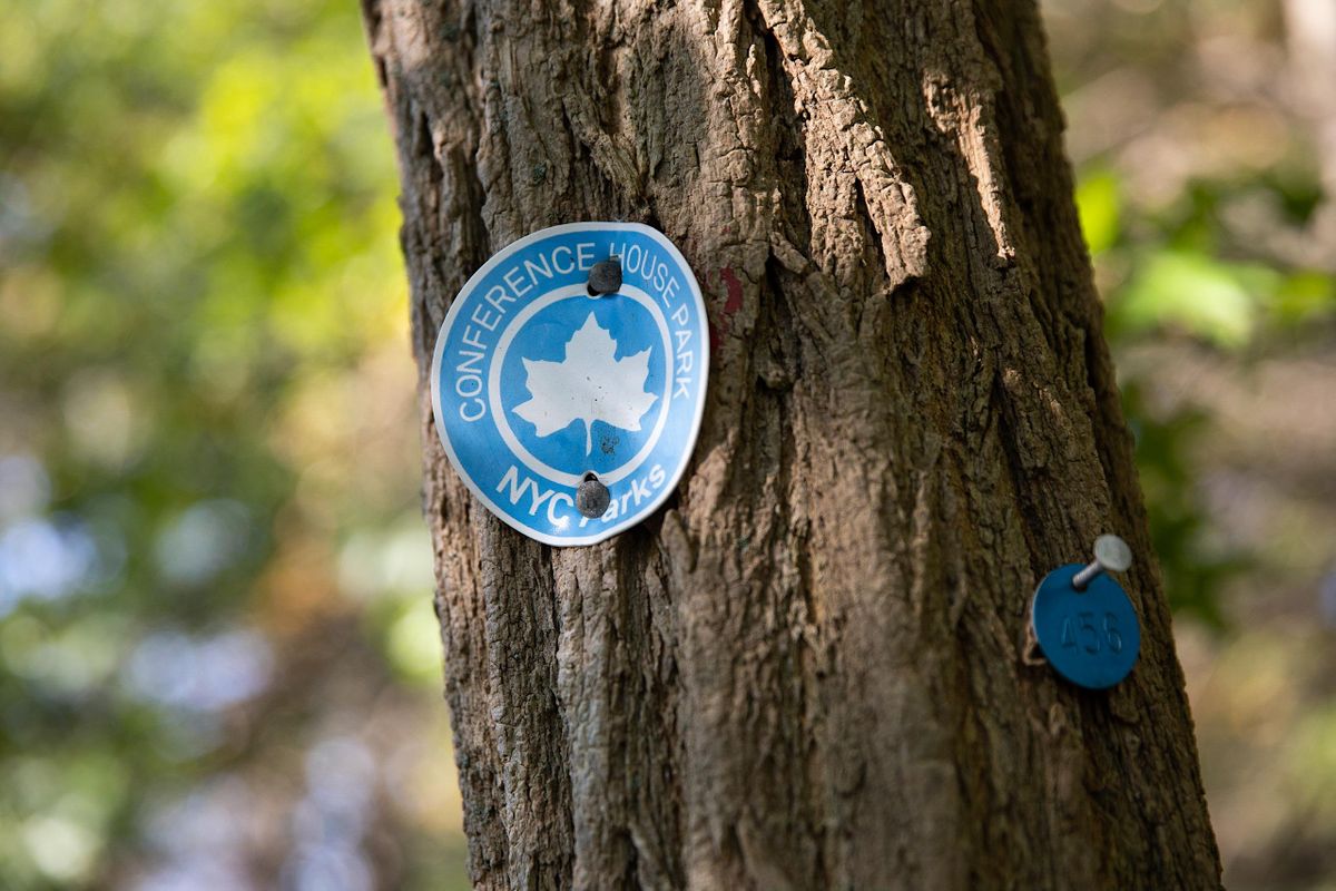 Conference House Park Super Steward: Trail Maintainer Training, Visitor ...