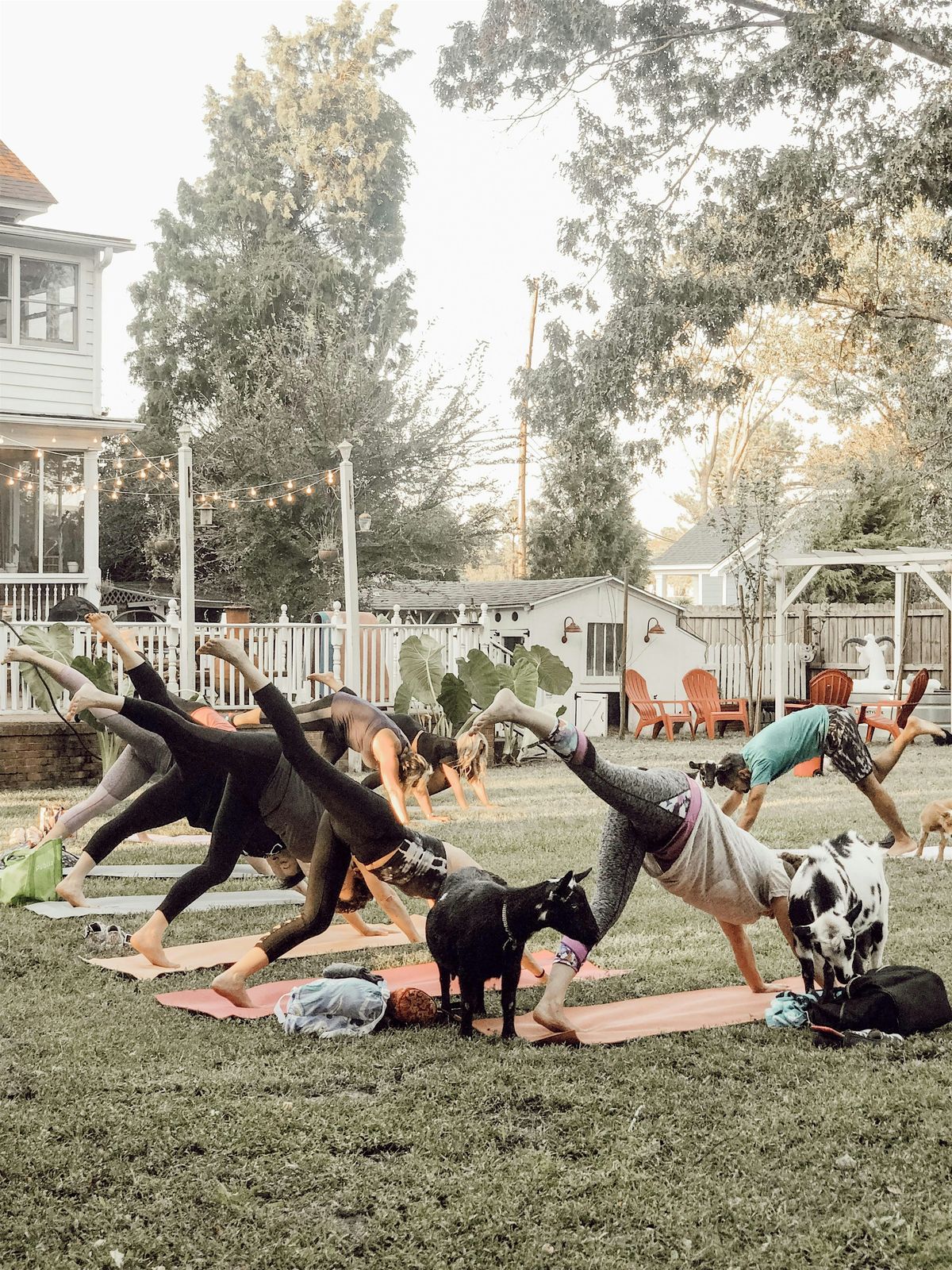 Goat Yoga at Flowertown Charm, Flowertown Charm, Summerville, 26 August ...
