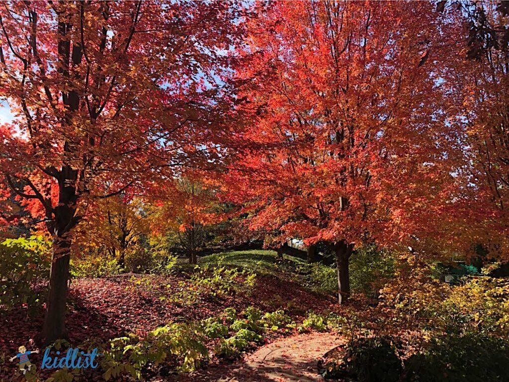 Native Plant Workshop: Fall colors and harvest!, Prairie Sun house ...