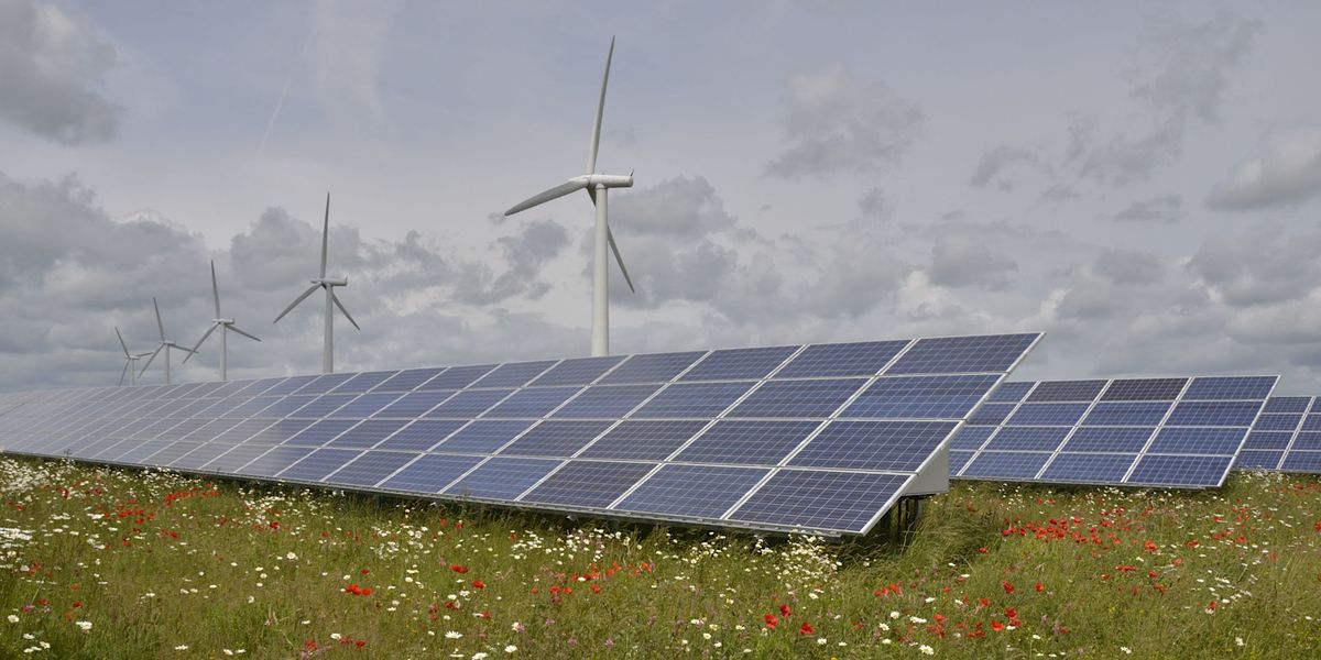 Westmill Wind Farm and Solar Park Guided Tour, Westmill Wind & Solar ...