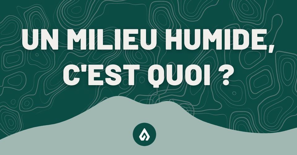 Un milieu humide, cest quoi ? , Base plein air André-Nadeau, Sherbrooke, 3 August 2023 ...