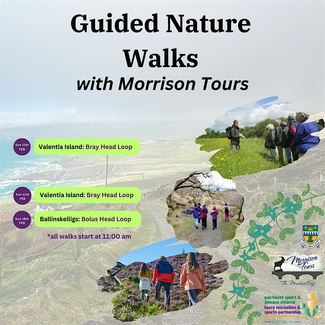 Guided Nature Walks-Bray Head Loop (Valentia Island), Bray Head Loop ...