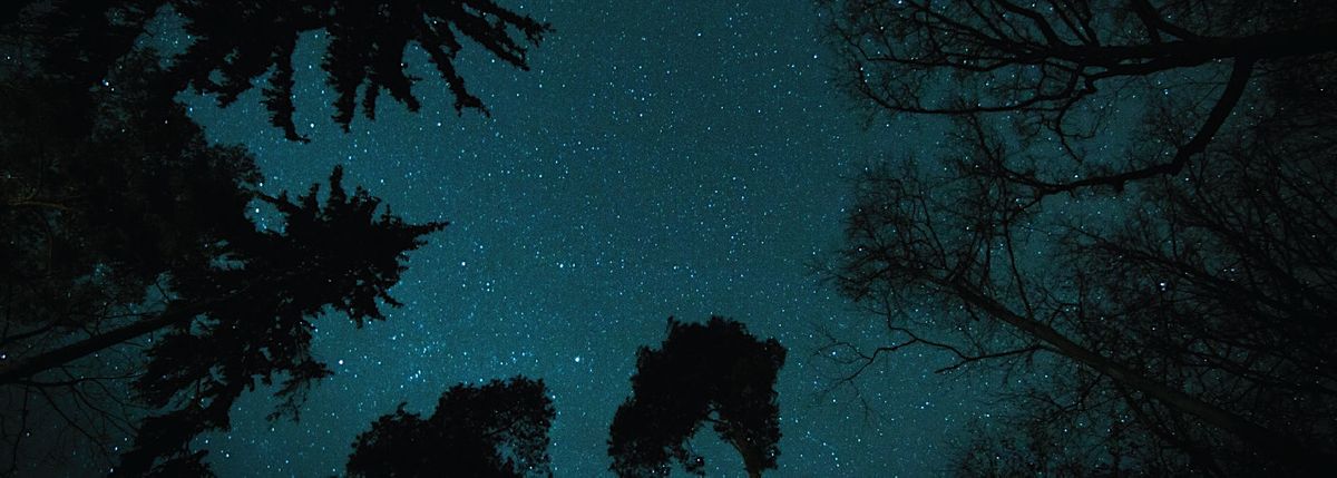 Meewasin Dark Skies: Solar Eclipse, Part I, Shakespeare On The ...