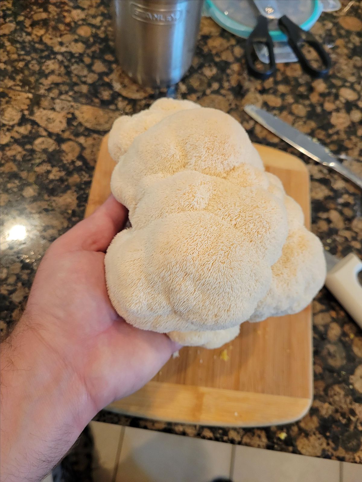 Making Spawn for Mushroom Cultivation, Counter Culture Labs, Oakland ...