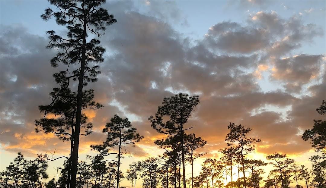 Disneys Wilderness Preserve Hike, Disney Wilderness Preserve, Kissimmee ...