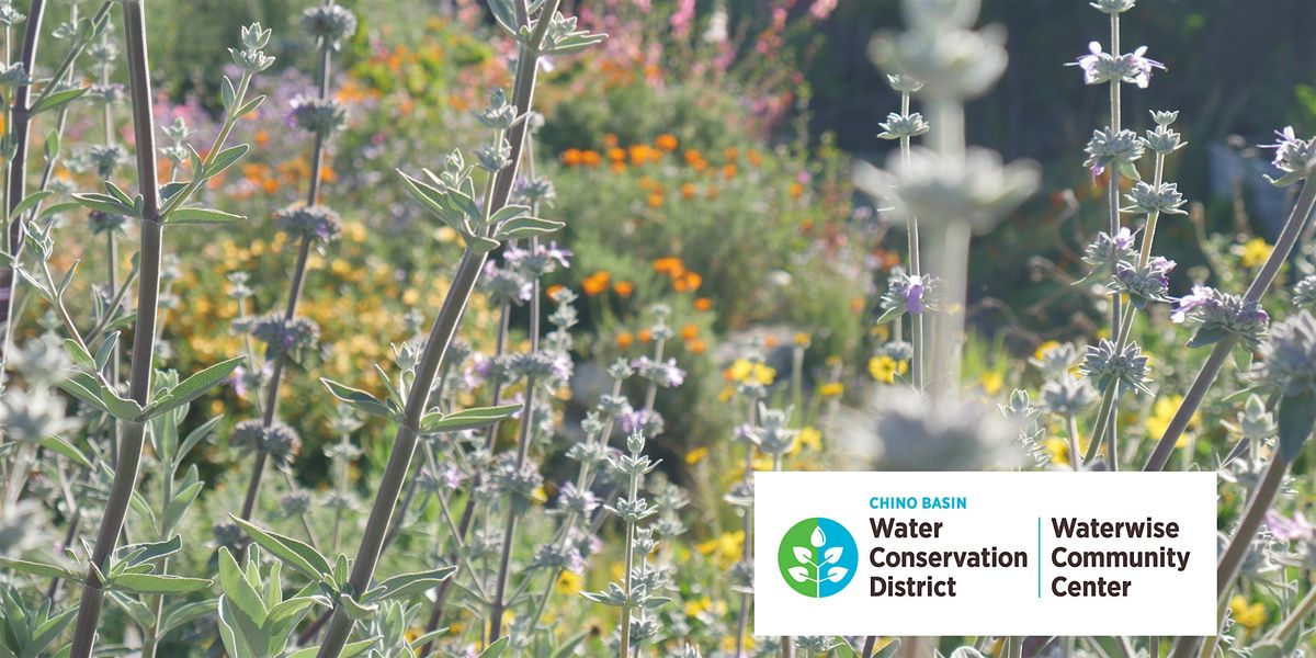 DIY Landscape Design For California Native Gardens, Waterwise Community ...