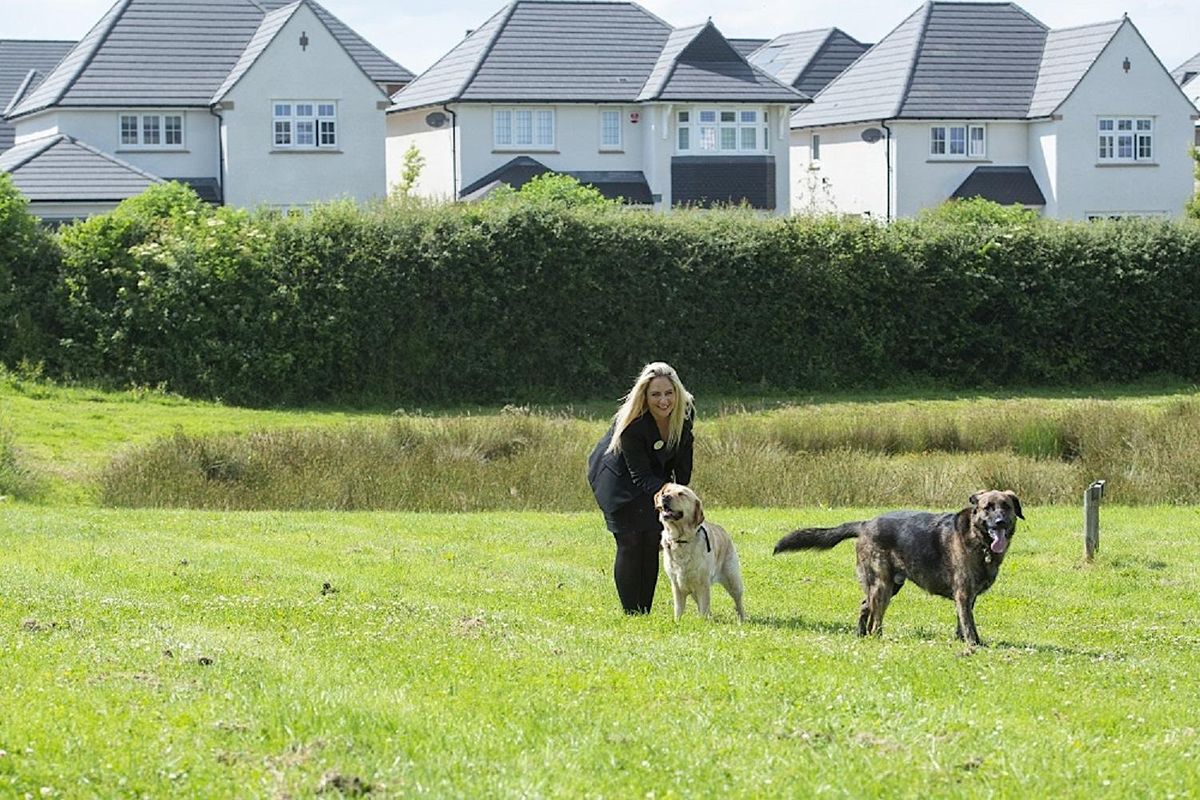 Meet the Guide Dog Day at Tascroft Rise, Redrow - Tascroft Rise ...