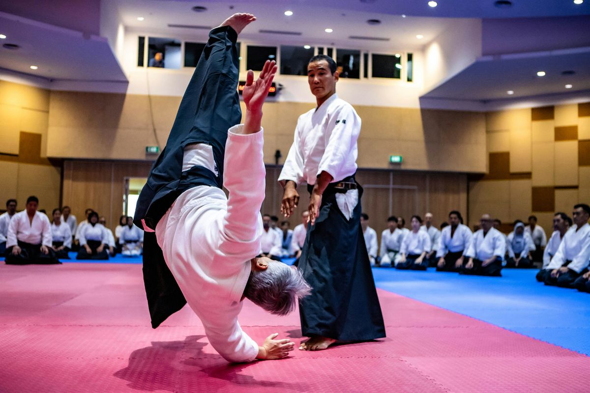 Joint Aikikai Council 2025 Spring Seminar, Sport Wales National Centre, Pontcanna, 12 April to ...