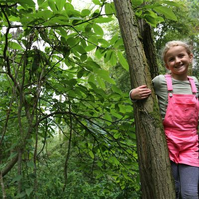 Fingringhoe Drop-off day (over 5s), Fingringhoe Wick Nature Discovery ...
