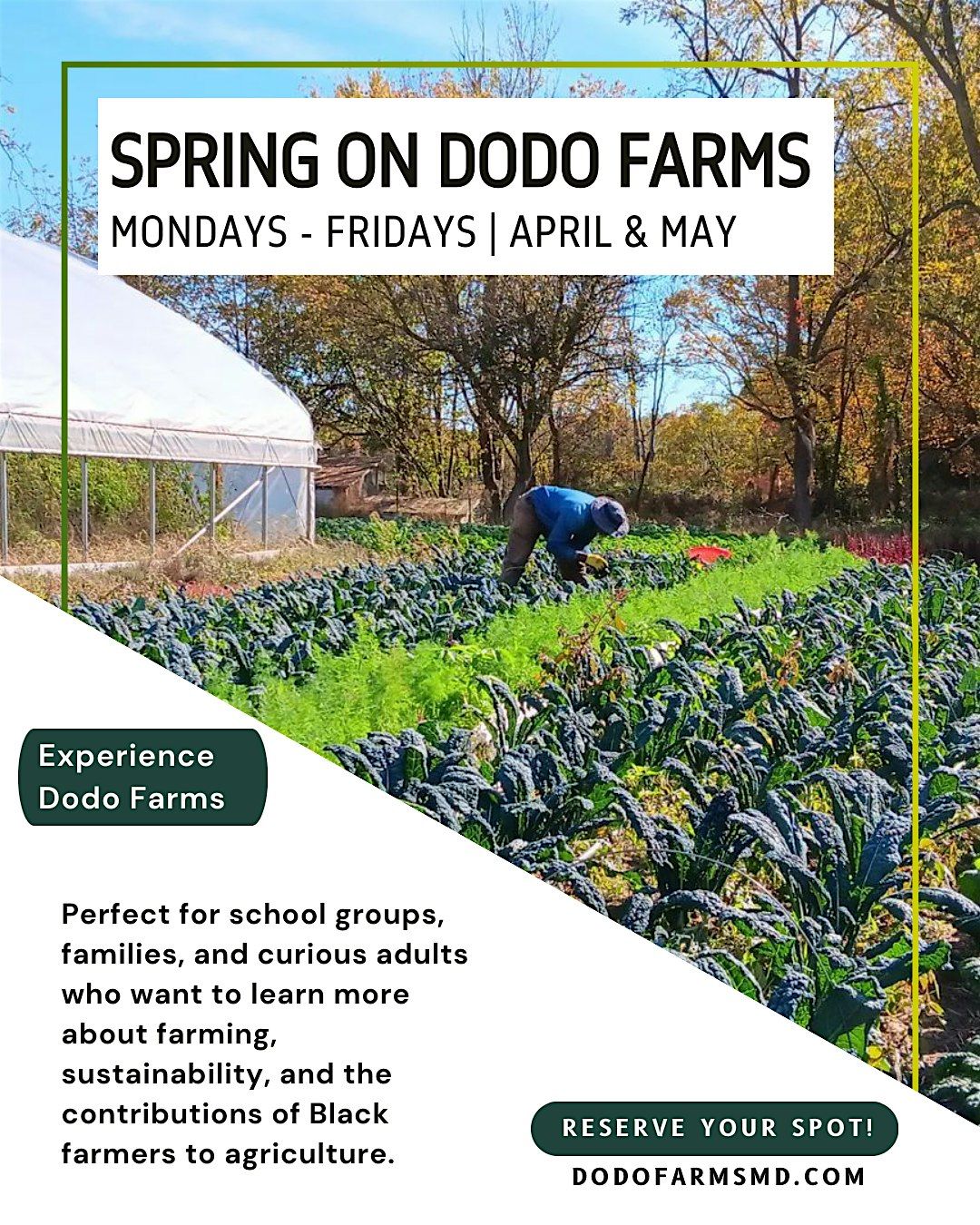 Spring on Dodo Farms: Hands-On EduTours, 1200 Long Corner Rd, Mount ...