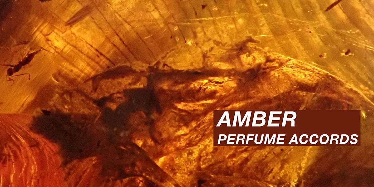 Amber: Perfume Accords, with Ashley Eden Kessler (online), January 26 ...