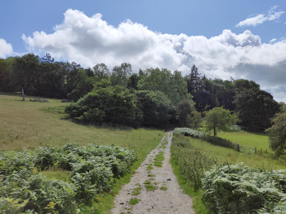 Halfday Mindful Walk at Loggerheads, Bryn Alyn, Druid Inn, Llanferres ...
