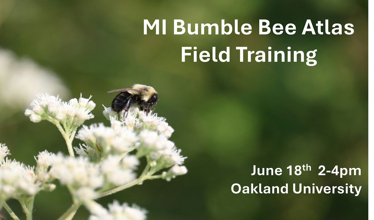 Michigan Bumble Bee Atlas Field Training, Mathematics and Science ...