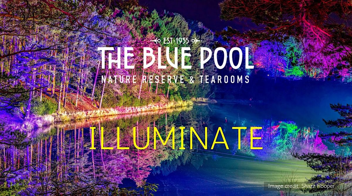 Illuminate at The Blue Pool 2025, The Blue Pool, Wareham, 9 January to ...