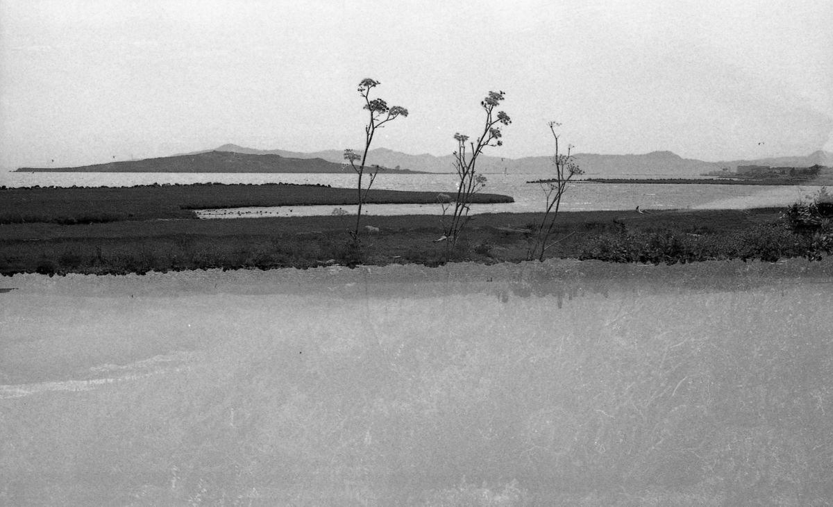 "Place Non Place" with Beatrice Thornton, Alexis Madrigal, and Amy ...