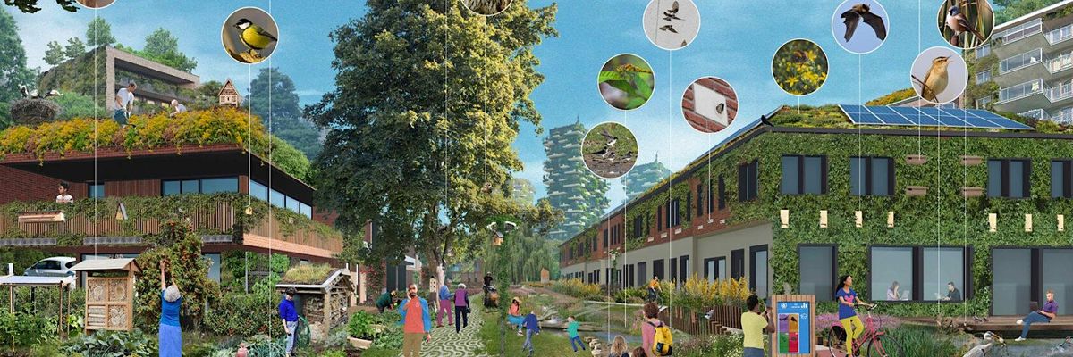 Gezonde verdichting: Robbert Snep en Gijs Meijer, Natlab, Eindhoven ...