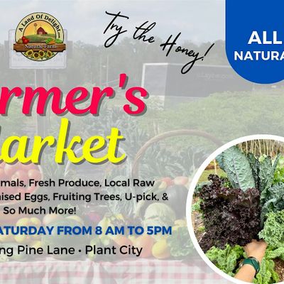 SPRING FAMILY FUN: Local Farmers Market + Petting Zoo, A Land of ...