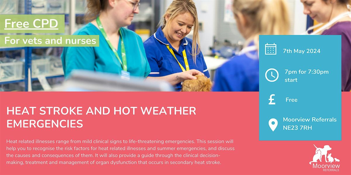 Heat Stroke and Hot Weather Emergencies, Moorview Referrals ...