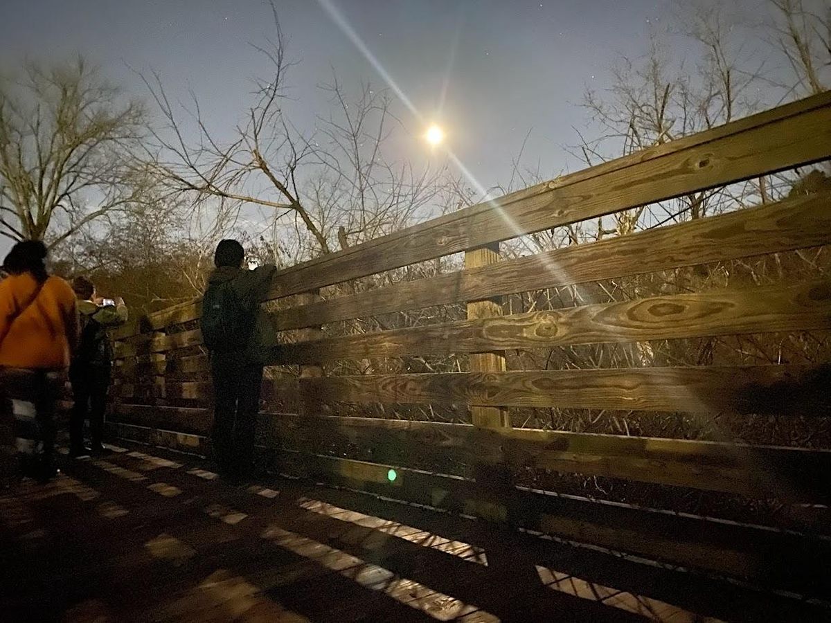 Full Moon Night Walk at Mason Mill Park, Mason Mill Park - South ...