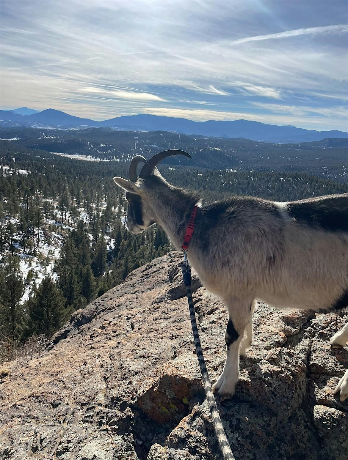 Guide Goat Hike - Challenging Hike, Reynolds Park Trailhead, South ...