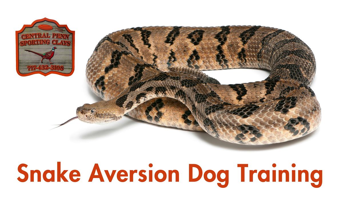 Dog Training - Snake Aversion, Central Penn Sporting Clays, Wellsville ...