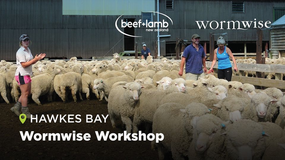 B+LNZ Wormwise Workshop, Petane Domain, Napier, March 14 2024 ...