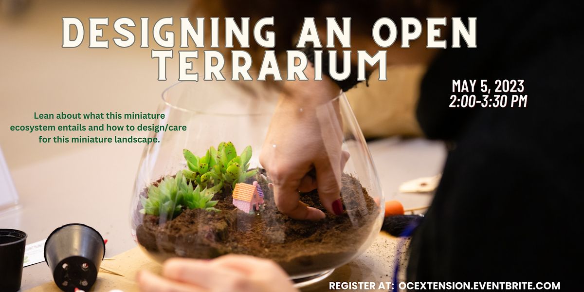 gARTening Series: Designing an Open Terrarium-In-Person class, UF IFAS ...