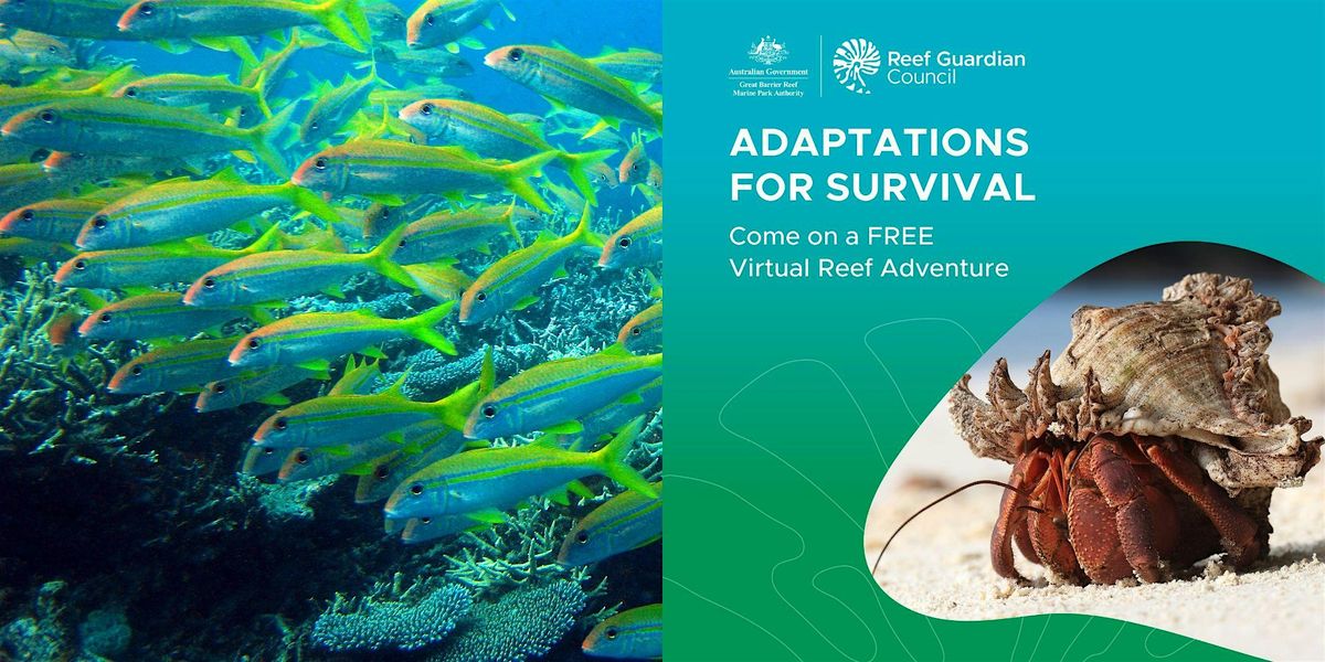 School Holiday Activity: Virtual Reef Adventure - Adaptations for ...