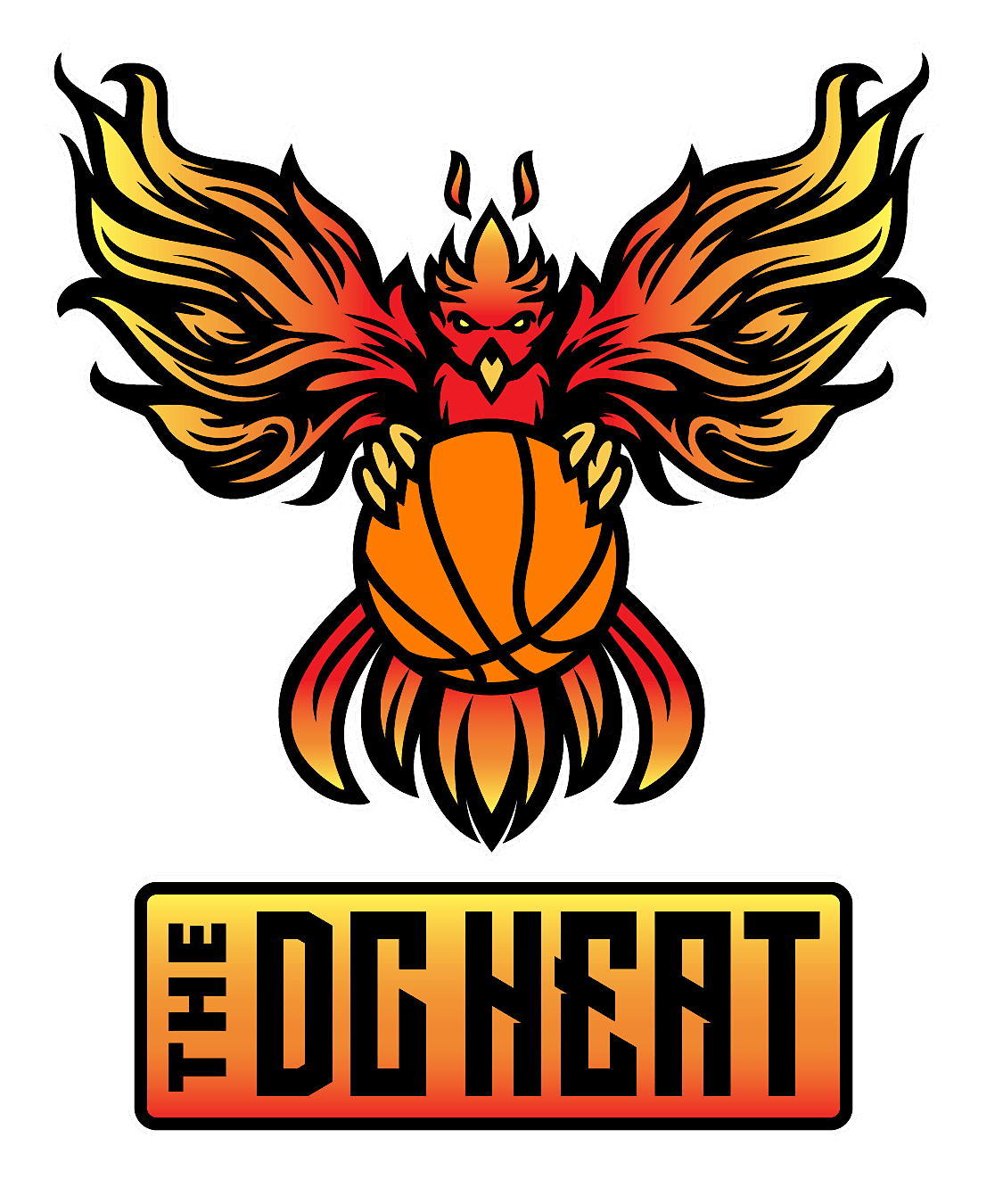 THE DC HEAT Basketball Clinic 6-12 years old, Bethel (BeThe1) Academy ...