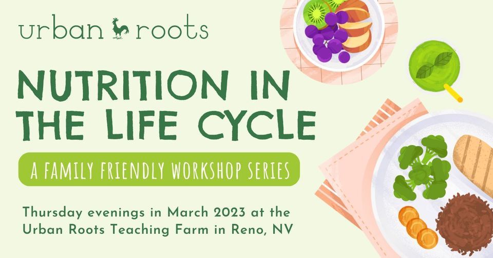 Nutrition In The Life Cycle Urban Roots Reno 2 March 2023