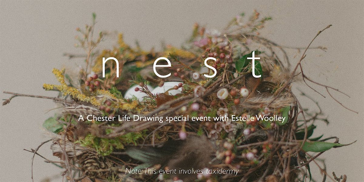 NEST - A Chester Life Drawing Special!, University of Chester, Creative ...