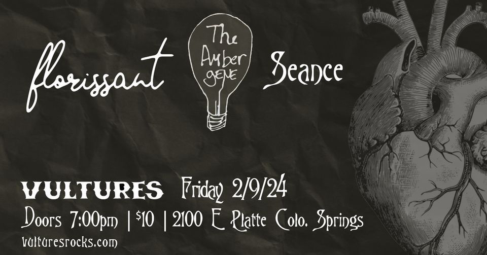 Vultures 2-9-24 Florissant - The Amber Gene - Seance , Vultures ...