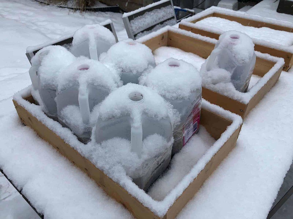 Winter Sowing Native Plants, The Botany Shop, South Bend, 10 February ...