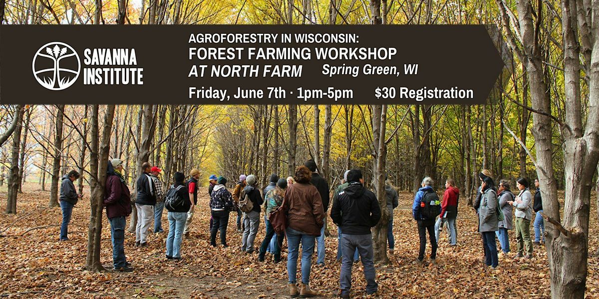 Forest Farming Workshop, Savanna Institute's North Farm, Spring Green ...