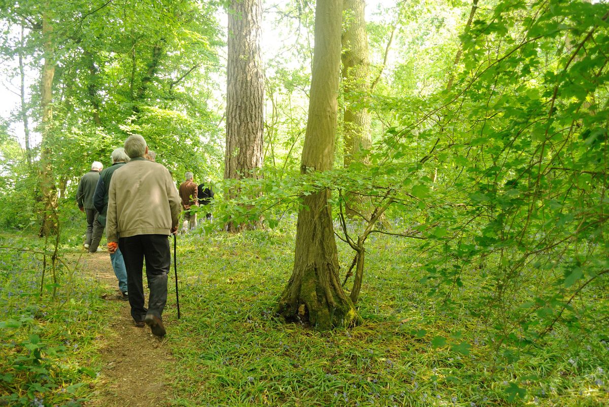 Mindful Nature Walk at Crane Park Island, Crane Park Island, Feltham ...