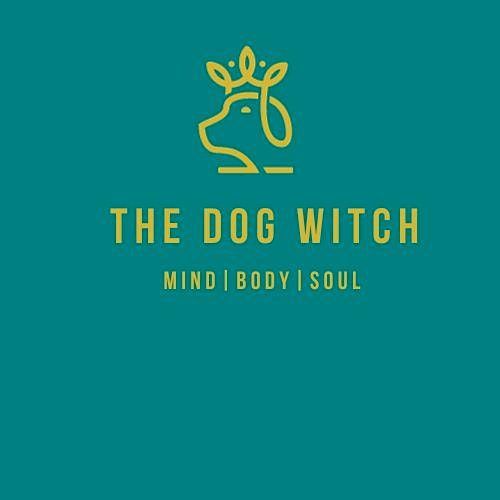 Xmas Dog Meet Up - Dog Walk, Cadder Wharf, Glasgow, 6 December 2024 ...