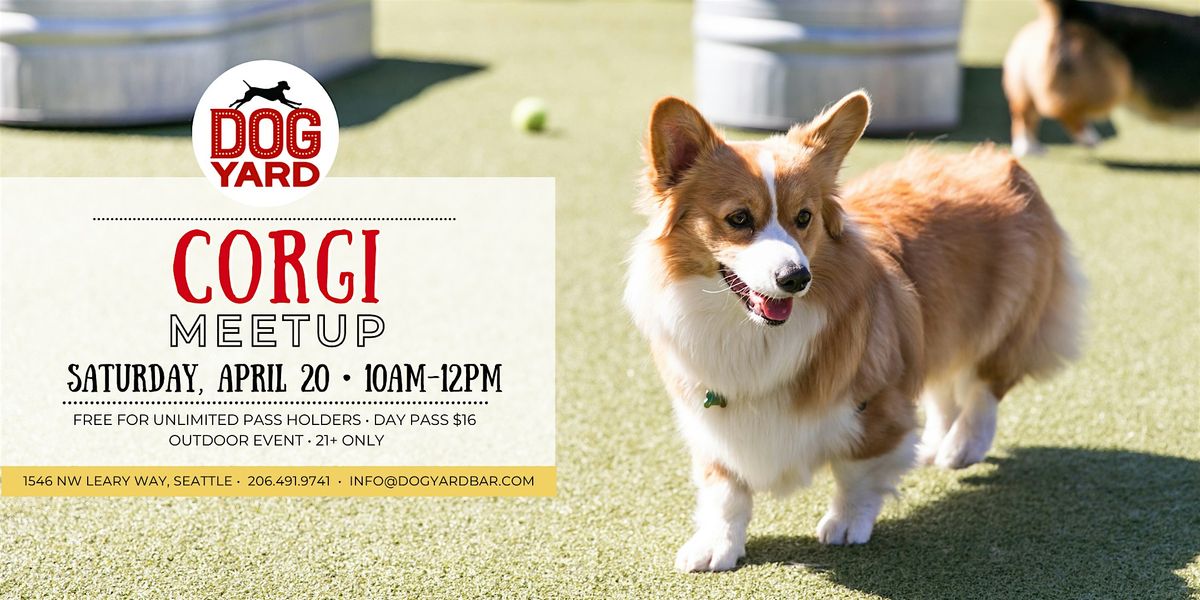 Corgi Meetup at the Dog Yard Bar in Ballard - Saturday, April 20, Dog ...
