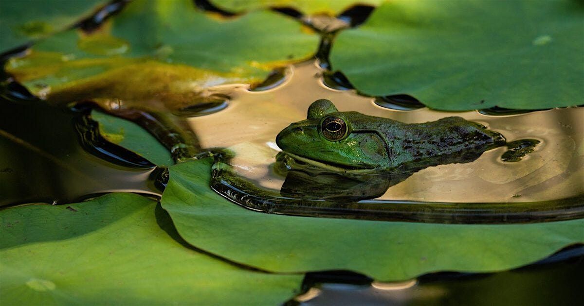 Learn About How Toxic Chemicals Affect Wildlife, April 25 2024 | Online ...