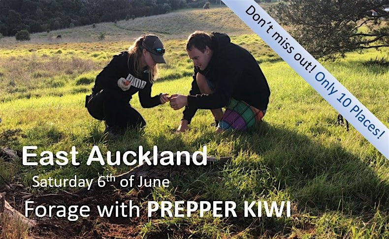 Auckland East Forage fun!, Murphys Bush Reserve, Auckland, 6 June 2026 ...